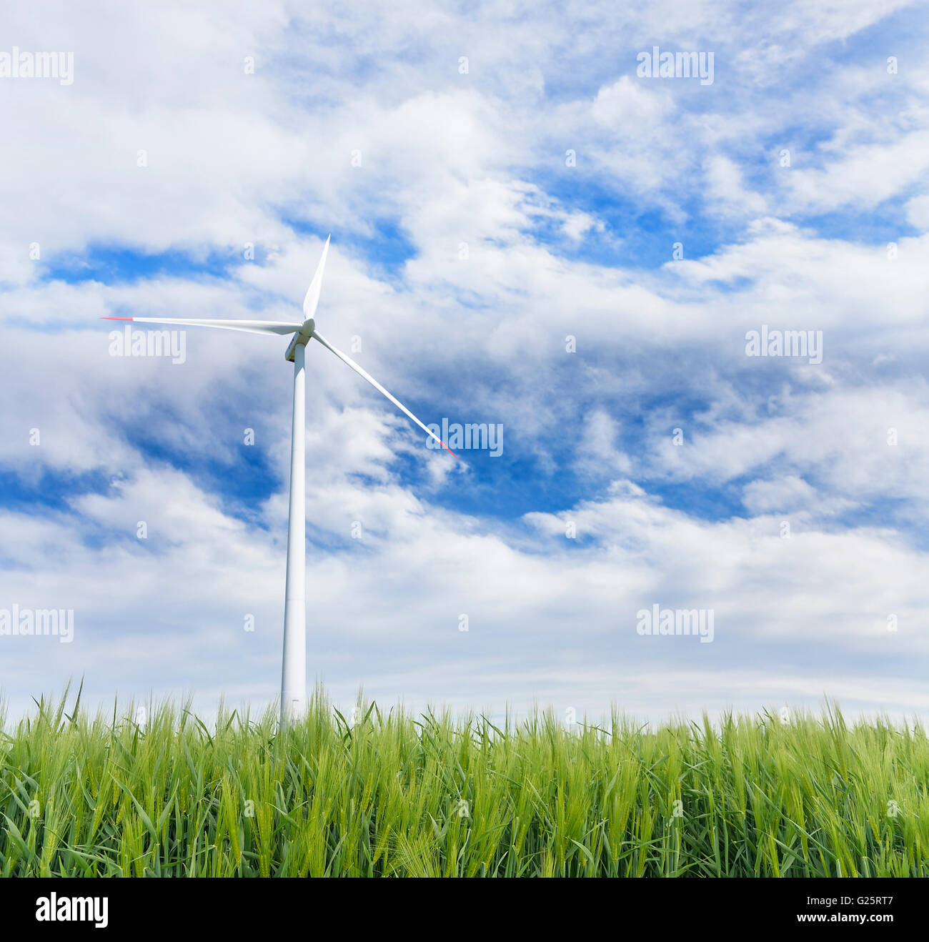 Wind power energy. Green field and wind turbines generating electricity ...