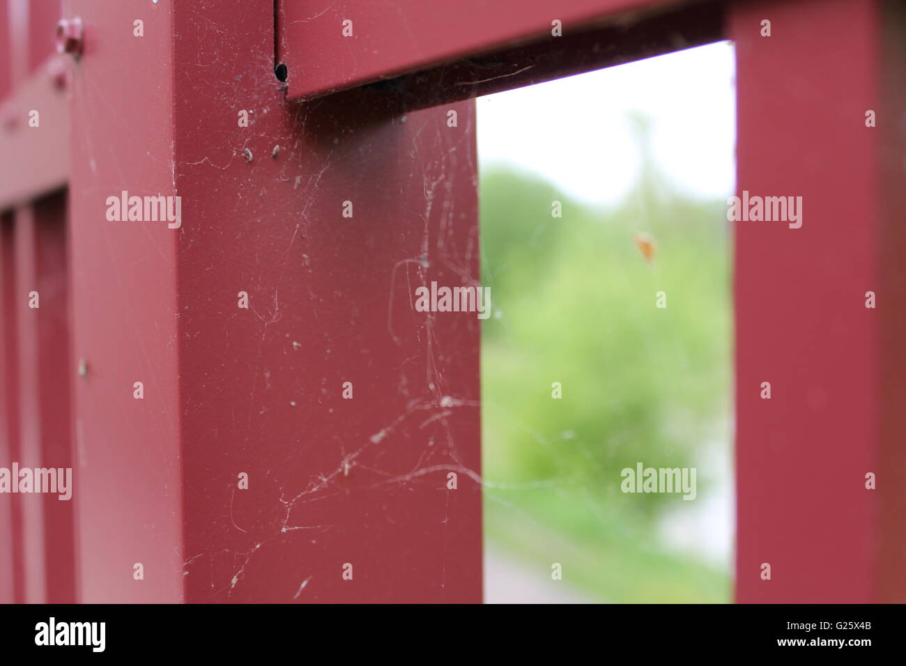 A Spider's Home Stock Photo - Alamy