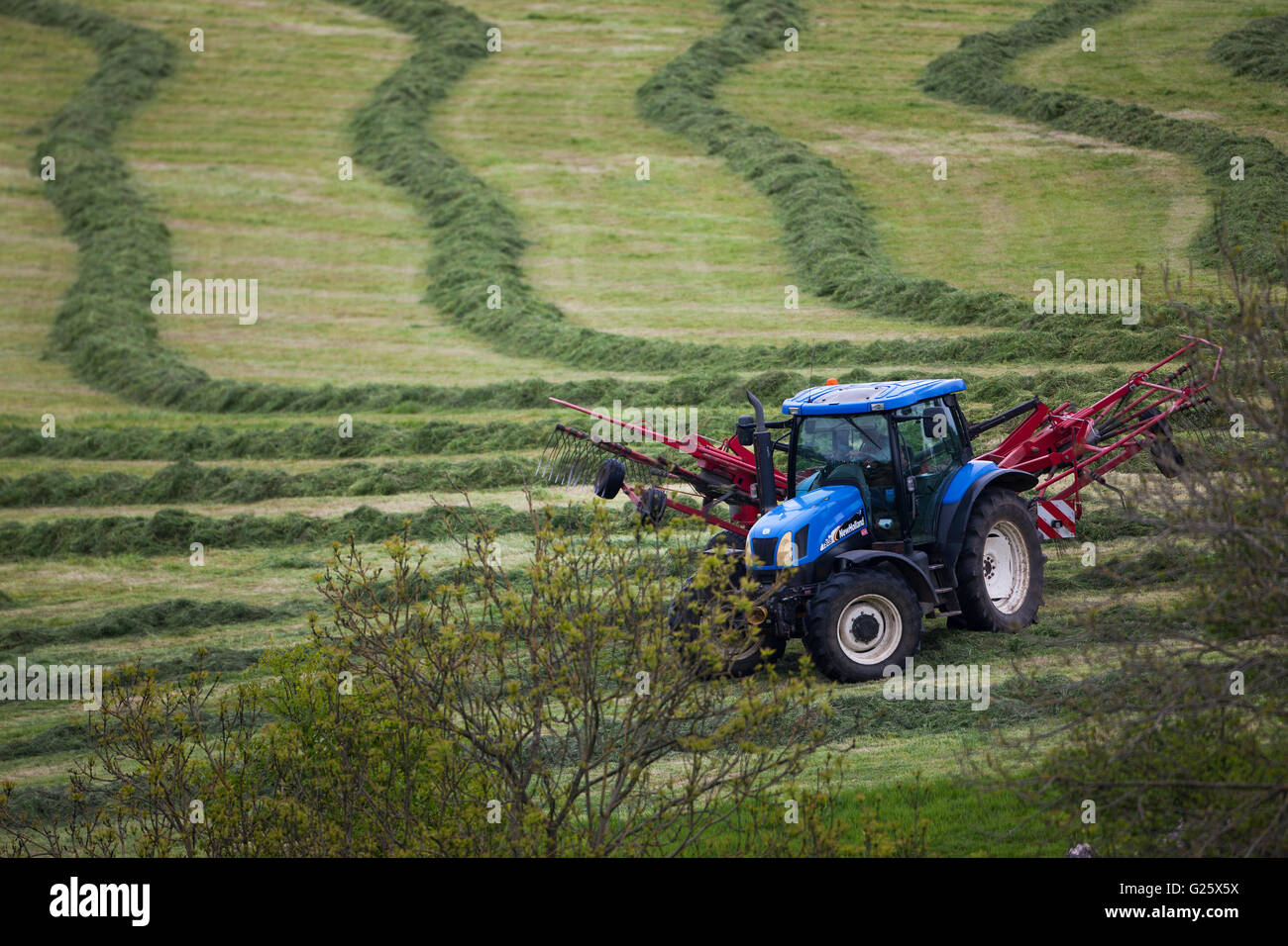 Tractor and Rake Stock Photo - Alamy