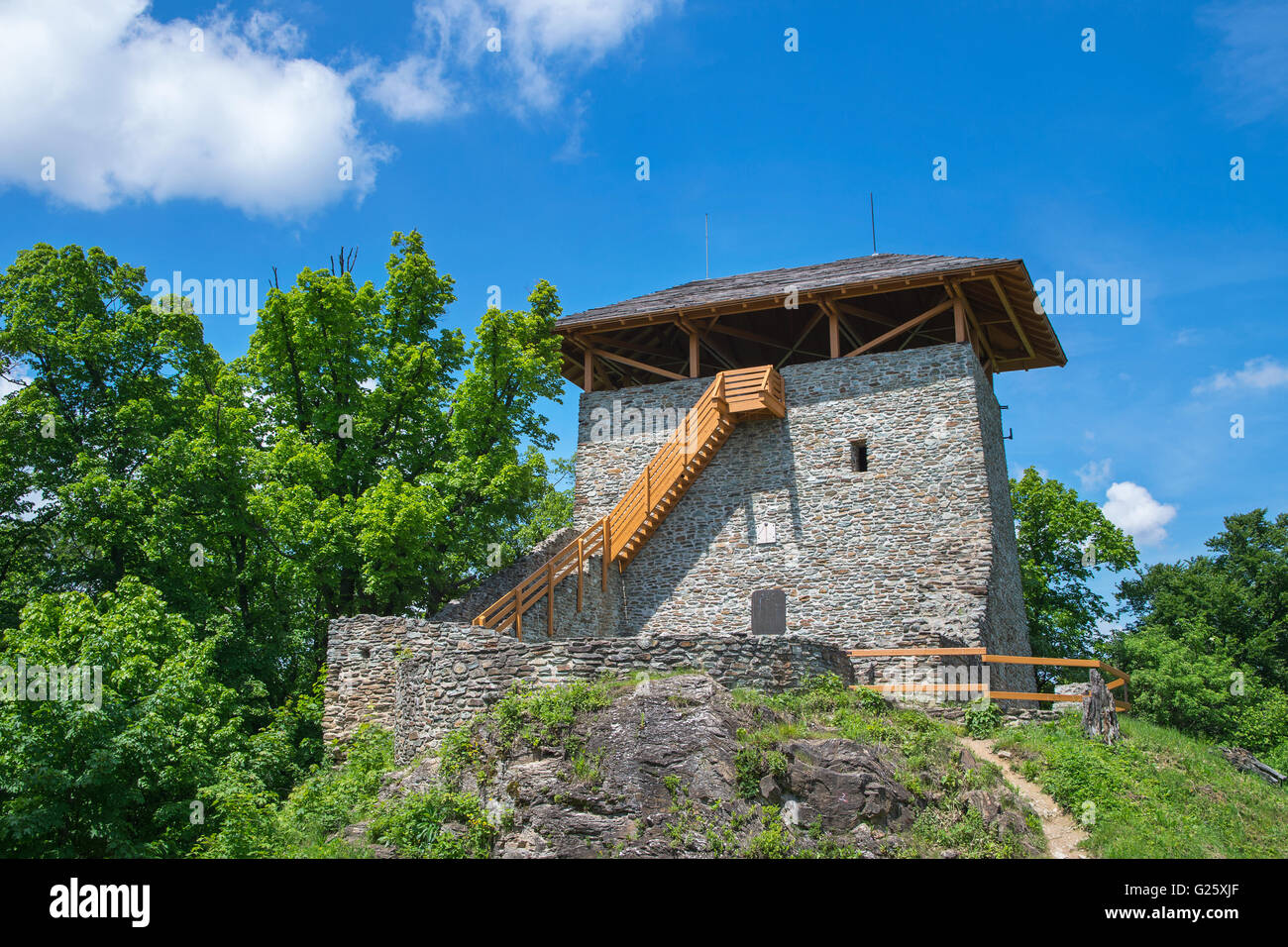 Forest watch tower hi-res stock photography and images - Alamy