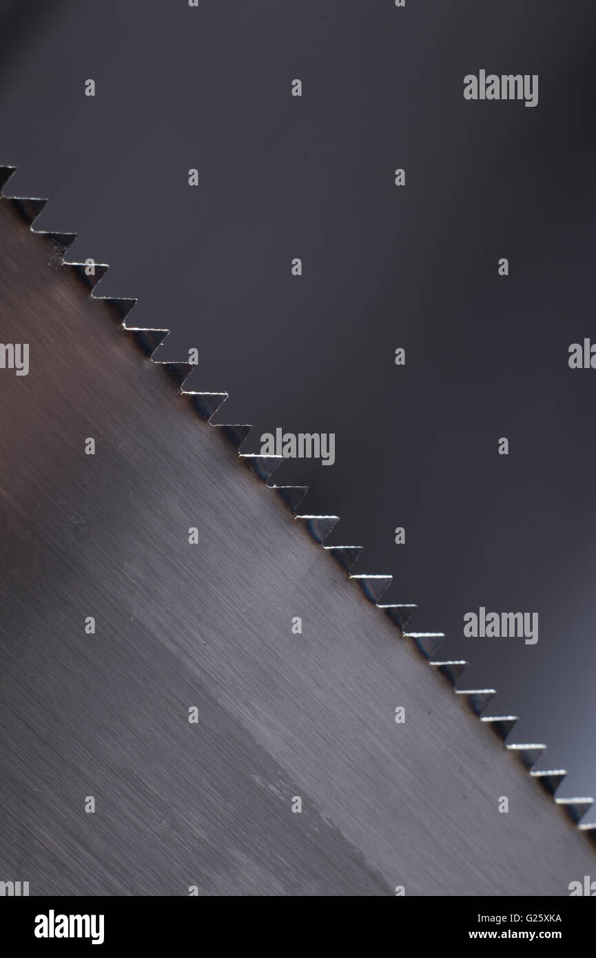 A close-up photograph of the edge of a saw showing the details of the ...