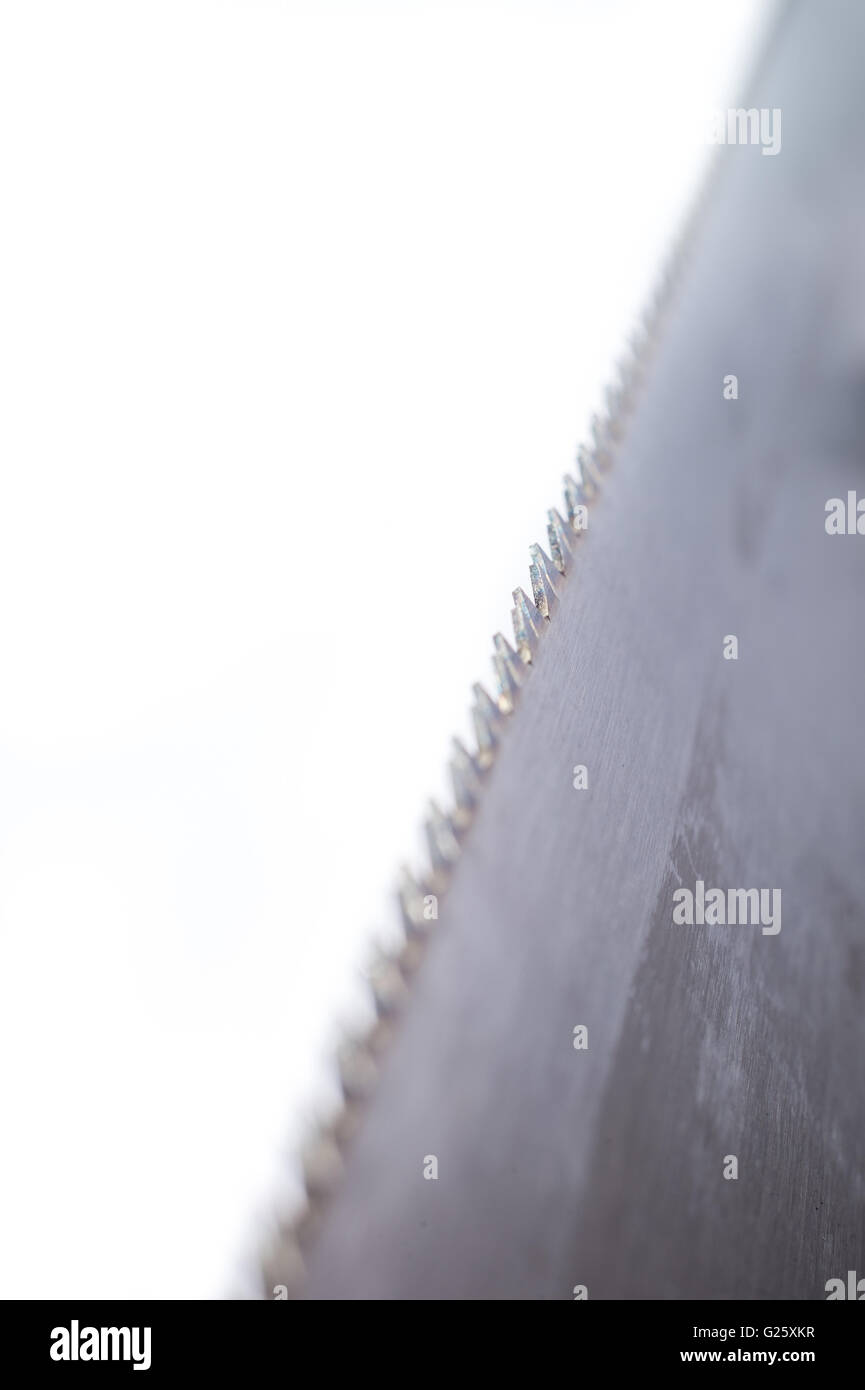 A close-up photograph of the edge of a saw showing the details of the ...
