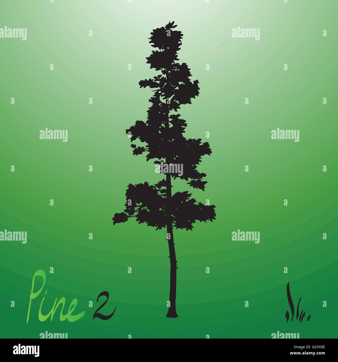 Cedar tree old growth Stock Vector Images - Alamy