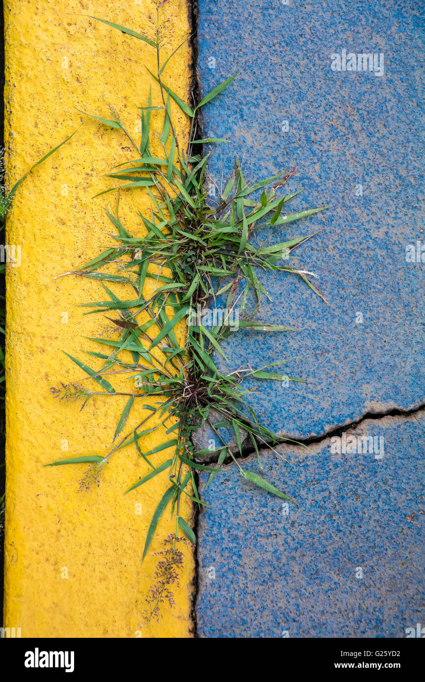 A visual metaphor for the fractured Brazilian economy and politics with ...