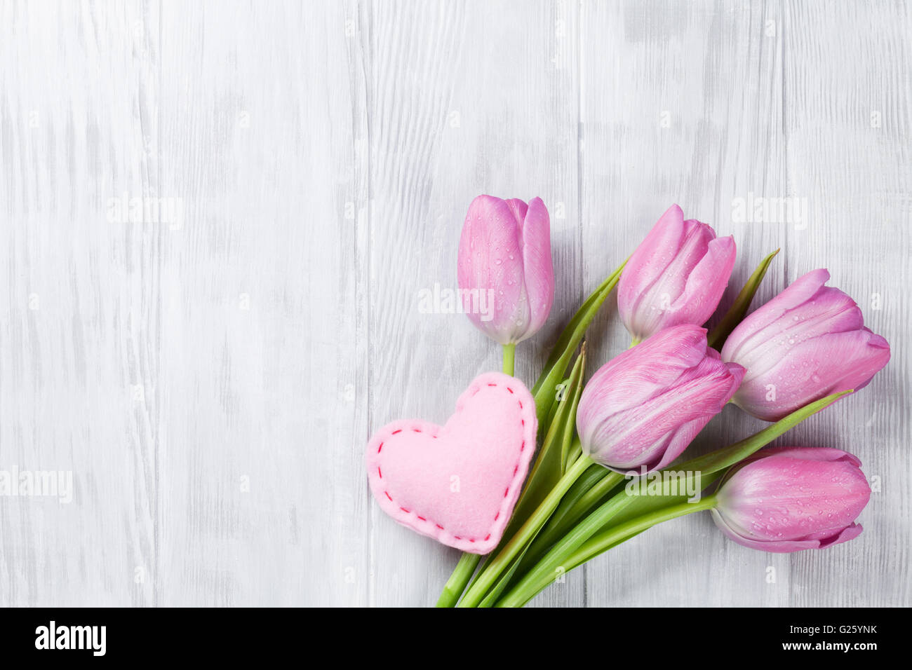 Purple heart tulip hi-res stock photography and images - Alamy