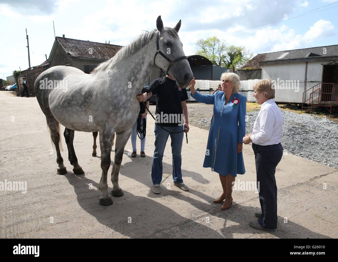 The Duchess of Cornwall during a visit to the Armagh cider company near ...