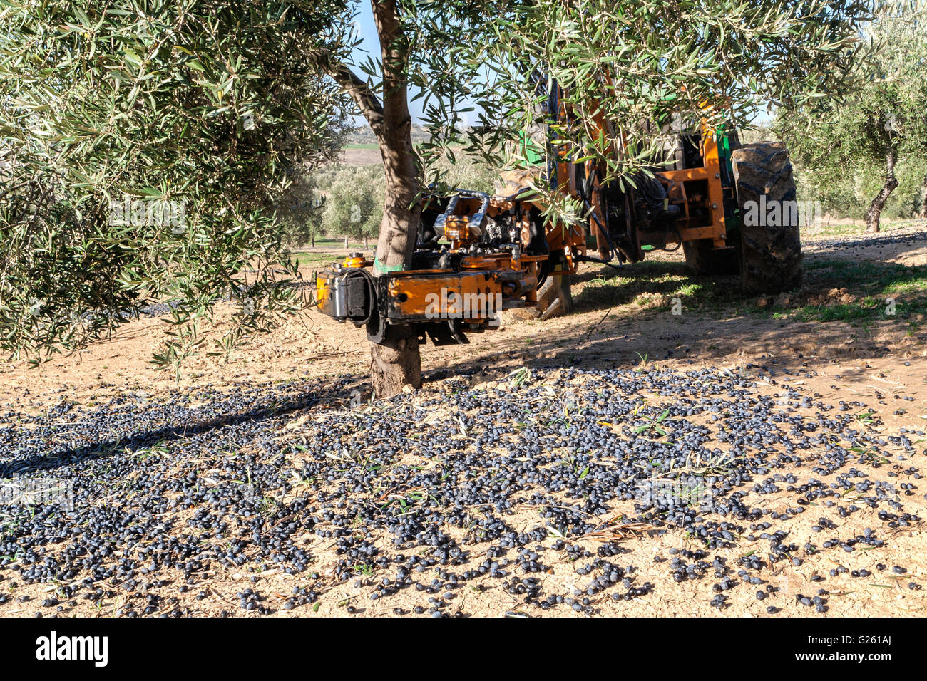 Mechanical tree hi-res stock photography and images - Alamy