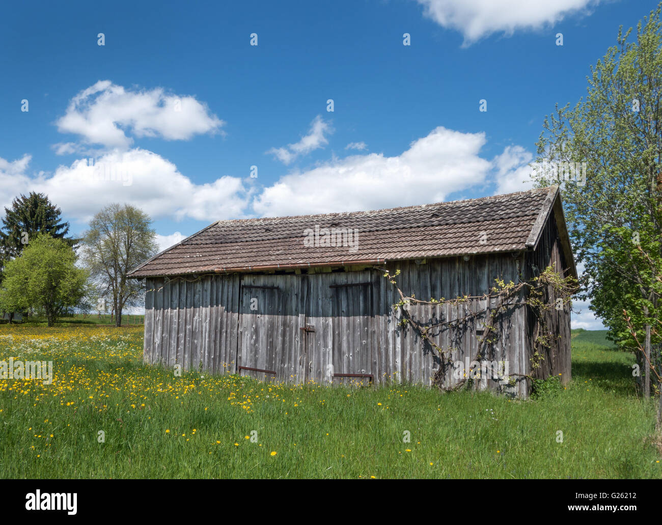 Spring shed hi-res stock photography and images - Alamy