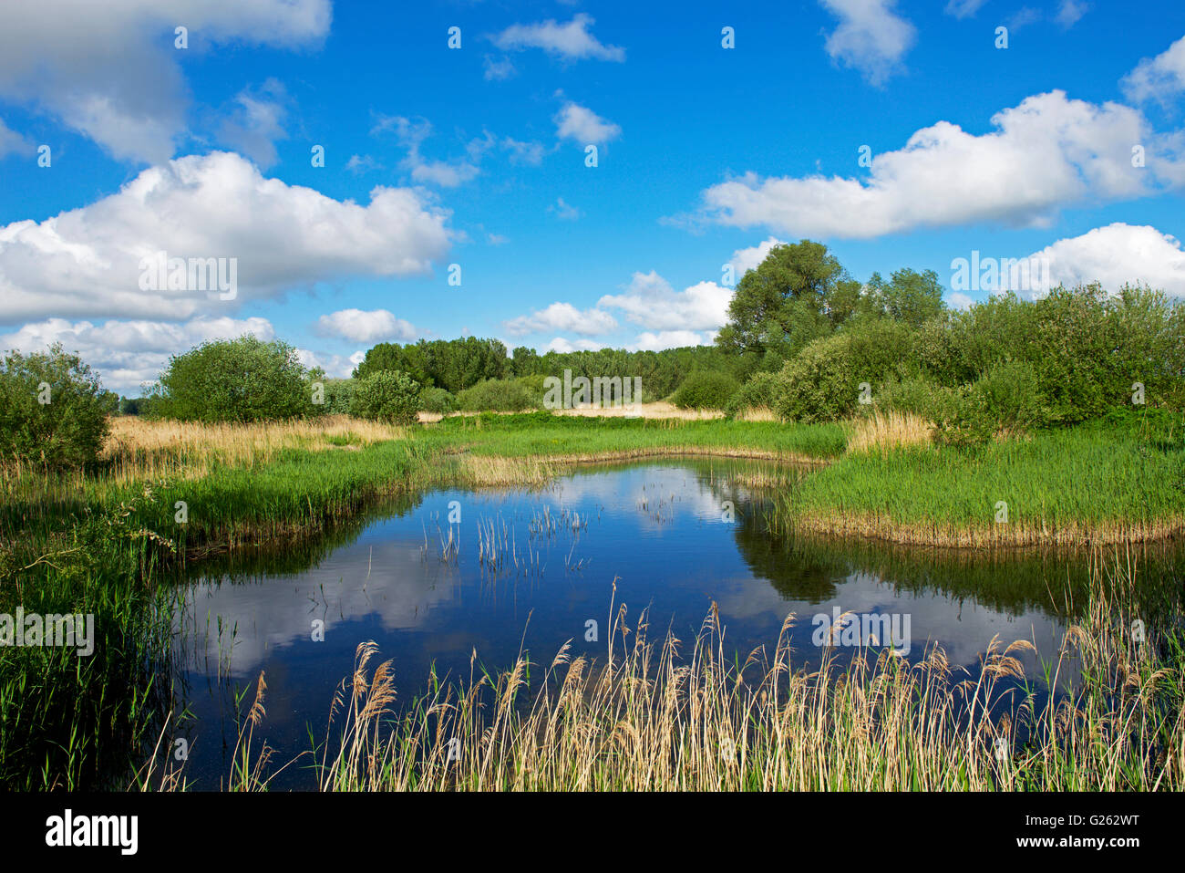 Lakenheath rspb hi-res stock photography and images - Alamy