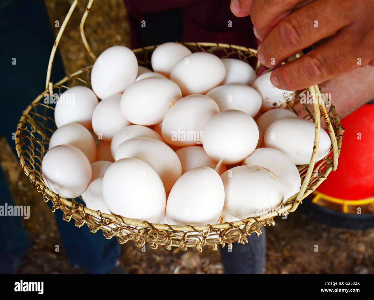 Collecting the straw hi-res stock photography and images - Alamy