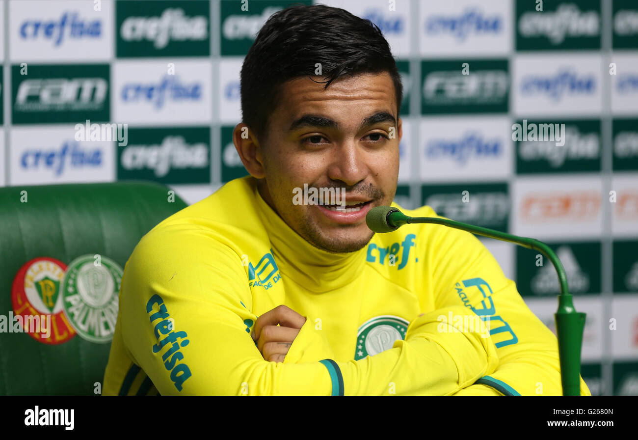 SAO PAULO, Brazil - 05/24/2016: TRAINING OF PALM TREES - Dudu player ...