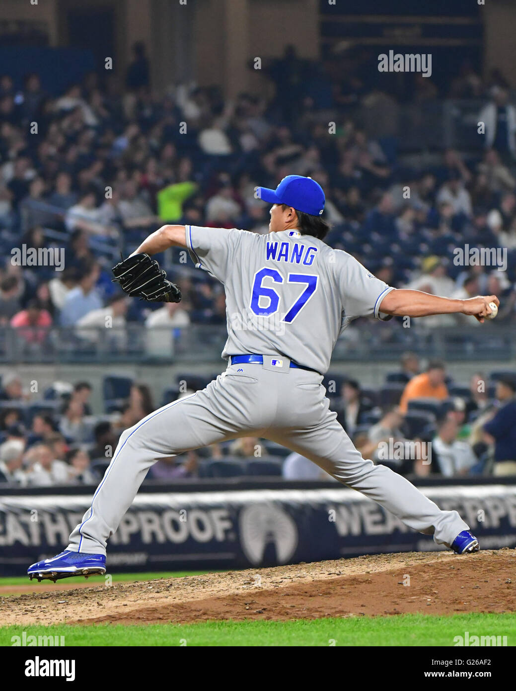 Chien ming wang hi-res stock photography and images - Alamy