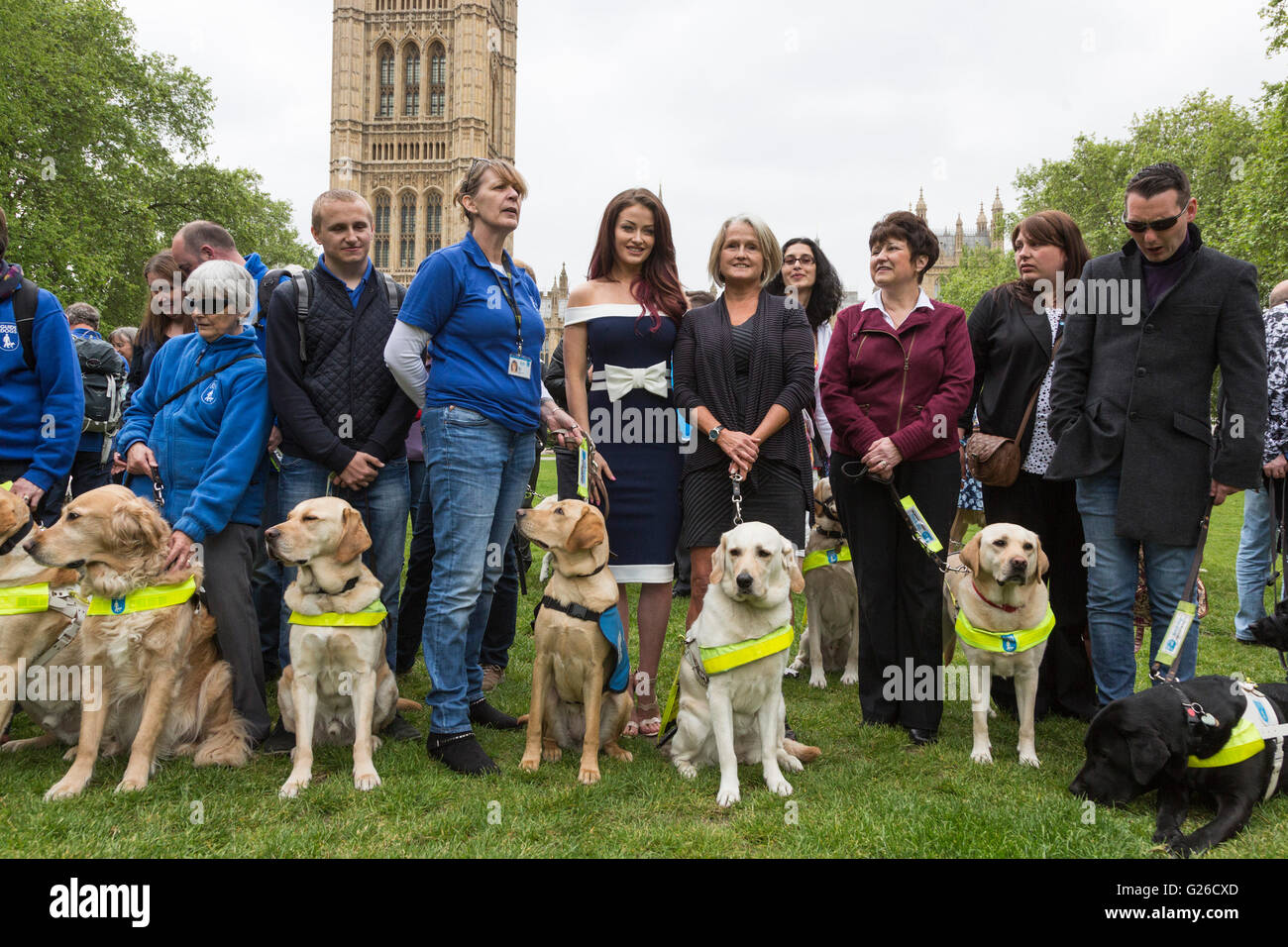 Labrador retriever guide london hi-res stock photography and images - Alamy