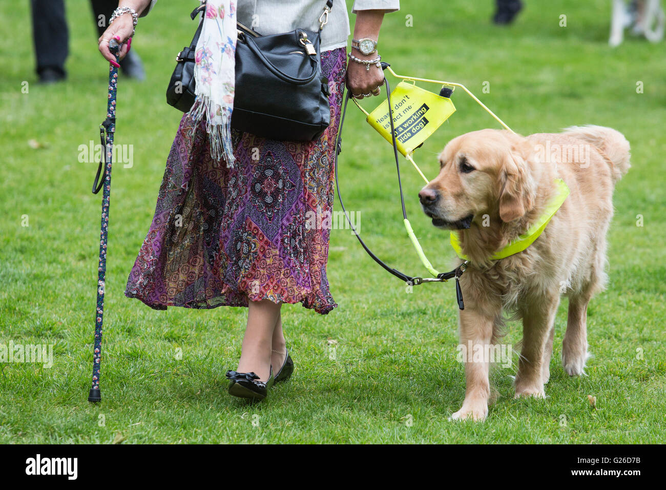 London, UK. 25 May 2016. 100 guide dog owners with their guide dogs ...