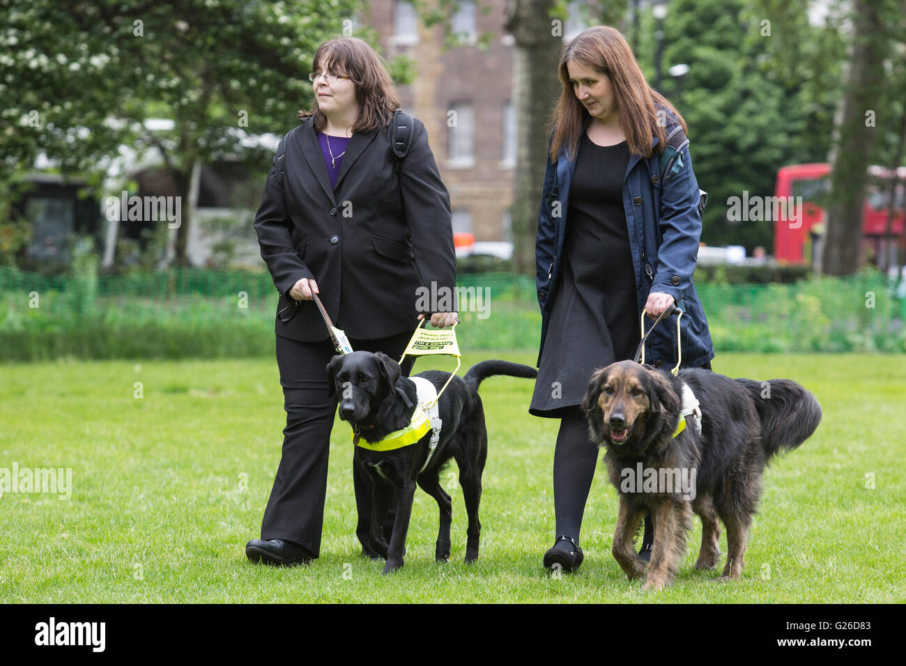 London, UK. 25 May 2016. 100 guide dog owners with their guide dogs ...