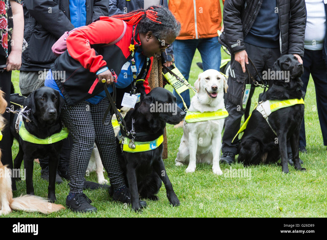 London, UK. 25 May 2016. 100 guide dog owners with their guide dogs ...