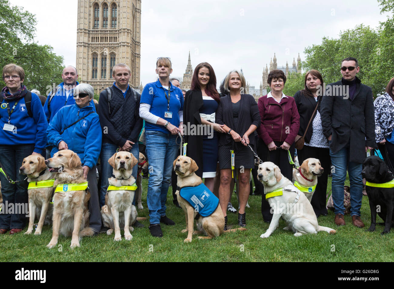 London, UK. 25 May 2016. 100 guide dog owners with their guide dogs ...