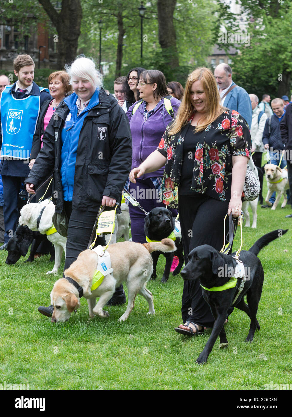 London, UK. 25 May 2016. 100 guide dog owners with their guide dogs ...