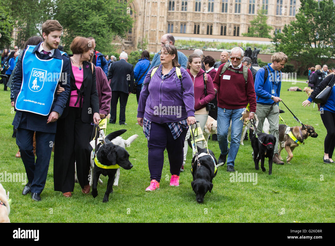 London, UK. 25 May 2016. 100 guide dog owners with their guide dogs ...