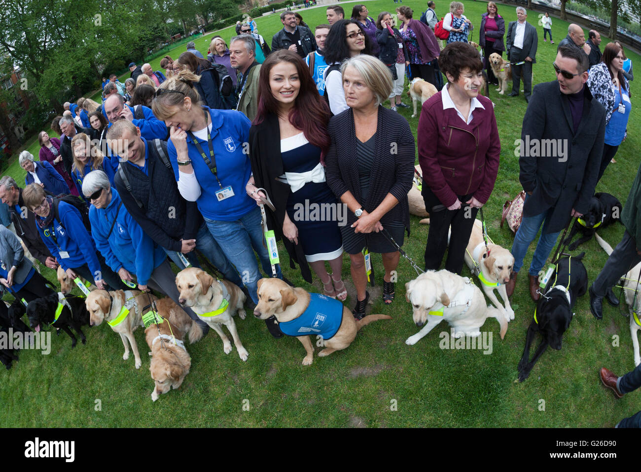 London, UK. 25 May 2016. 100 guide dog owners with their guide dogs ...