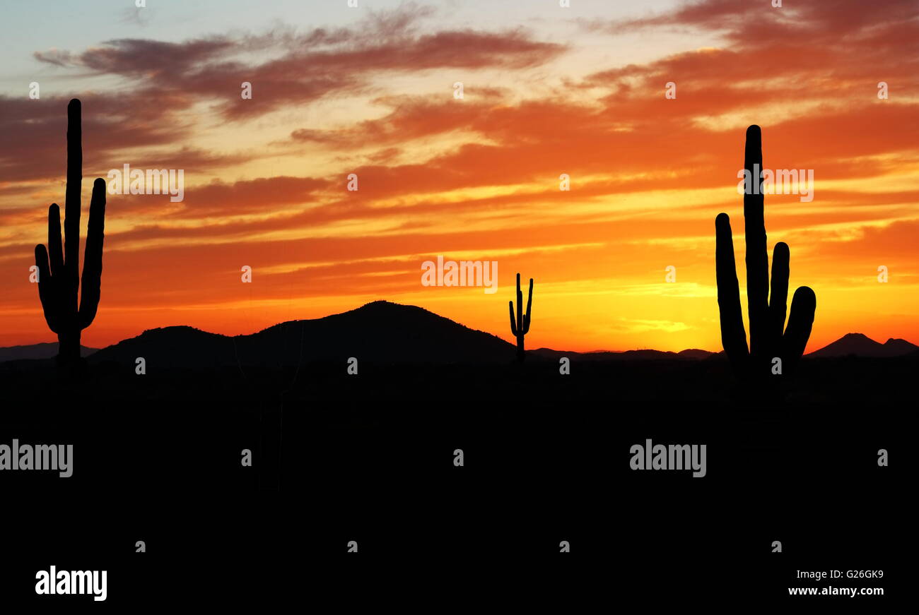 Western Sunset Silhouette