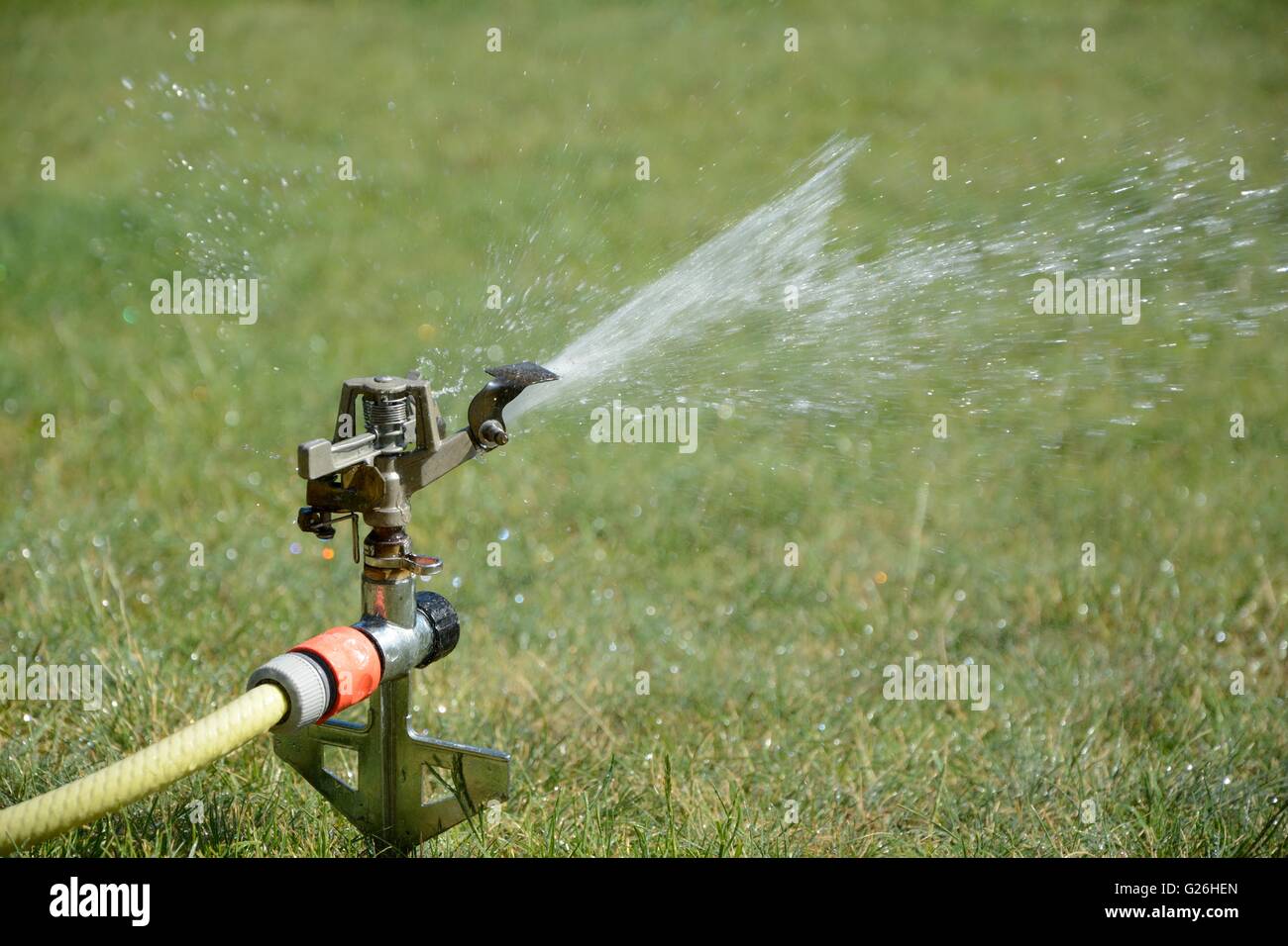 Sprinkler splashing with water on lawn in garden Stock Photo - Alamy
