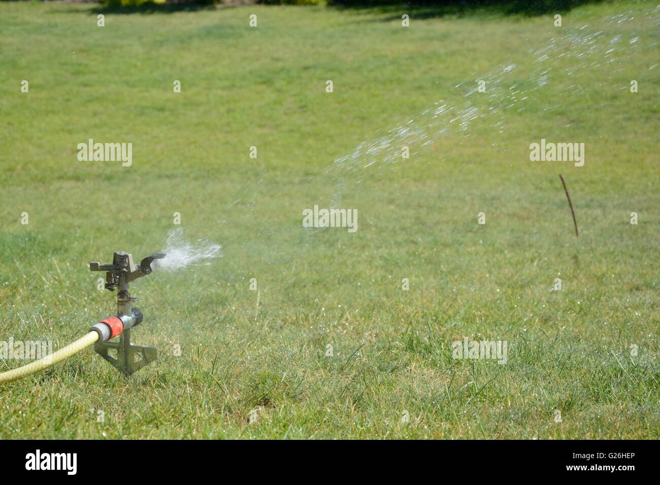 Sprinkler splashing with water on lawn in garden Stock Photo - Alamy