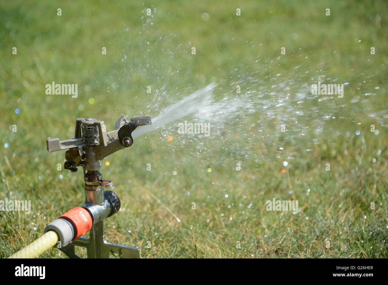 Sprinkler splashing with water on lawn in garden Stock Photo - Alamy