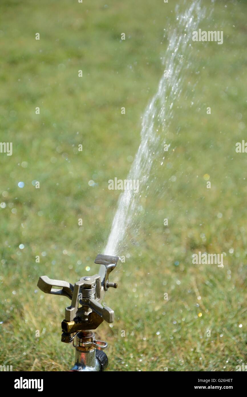 Sprinkler splashing with water on lawn in garden Stock Photo - Alamy