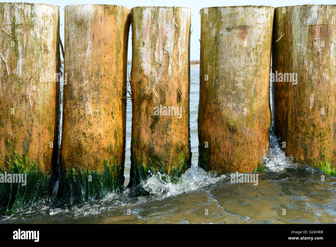 Row of wooden piles standing in sea - background Stock Photo - Alamy