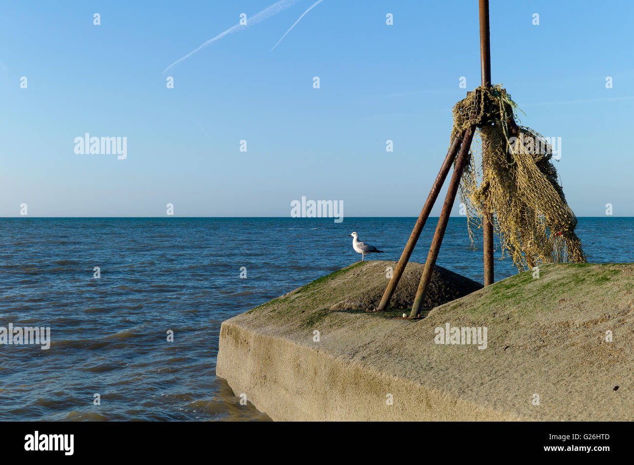 Tangled net hi-res stock photography and images - Alamy
