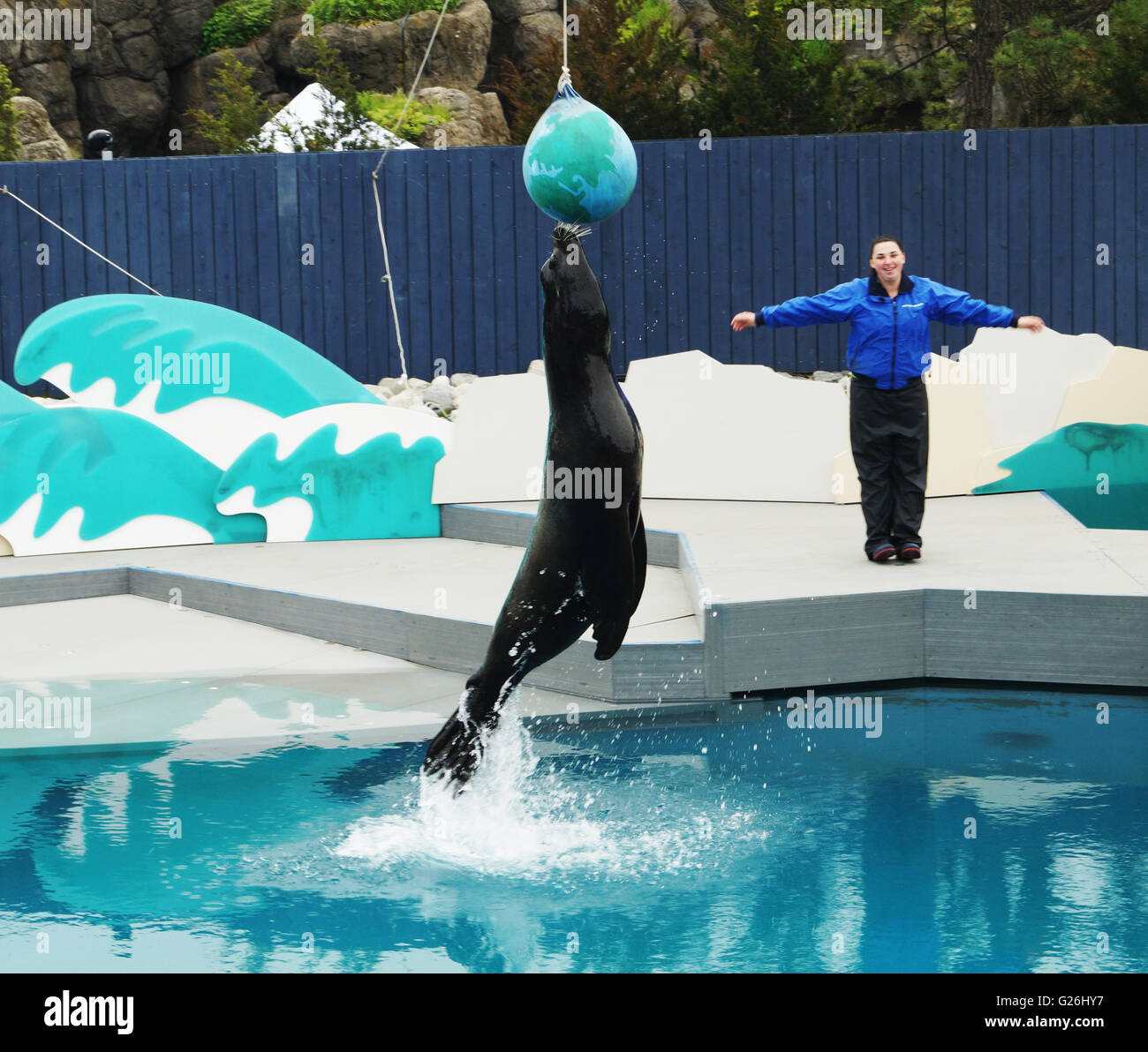 Sea Lion Ball High Resolution Stock Photography and Images - Alamy
