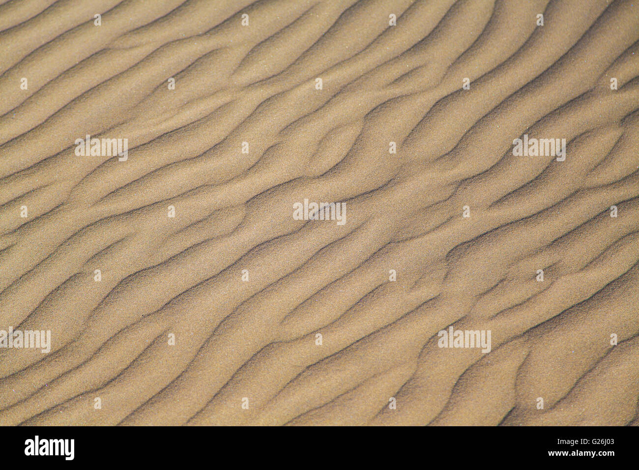 Close up view at sand texture Stock Photo - Alamy
