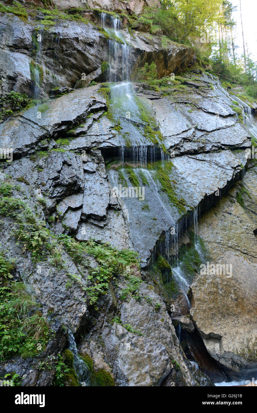 Moss on wet rock and flowing water Stock Photo - Alamy