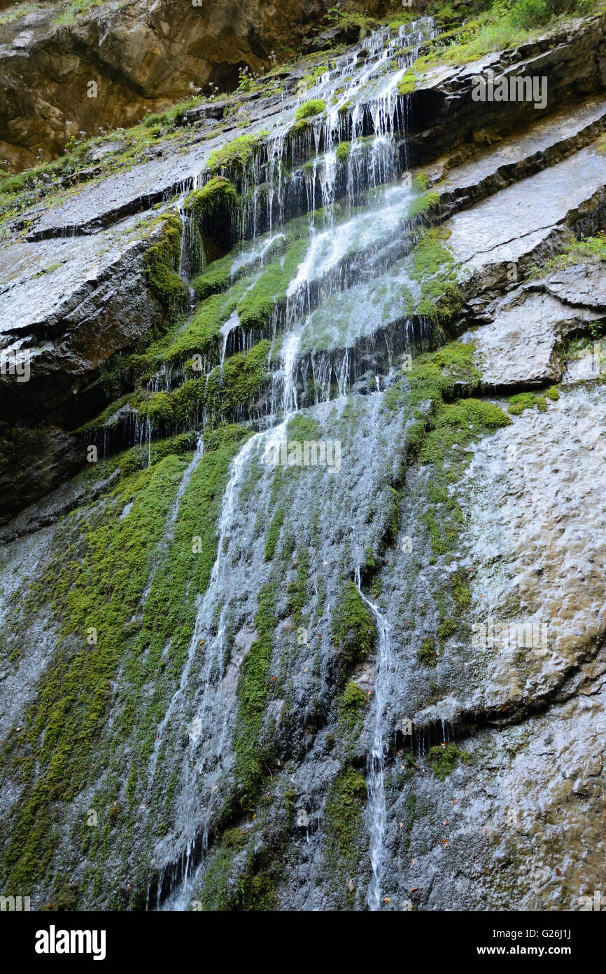 Moss on wet rock and flowing water Stock Photo - Alamy