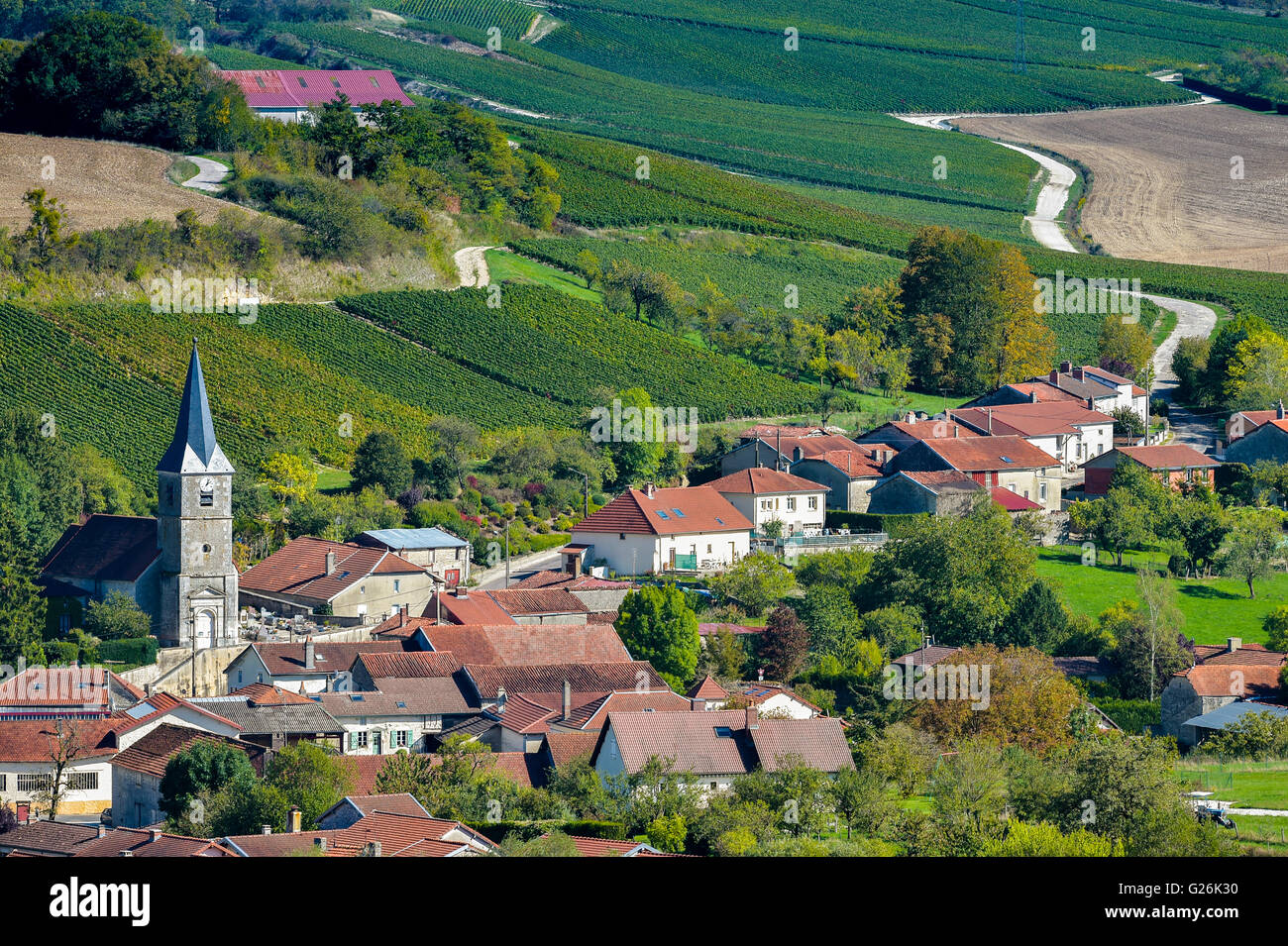 Champagne vineyards in the Cote des Bar area of the Aube department ...