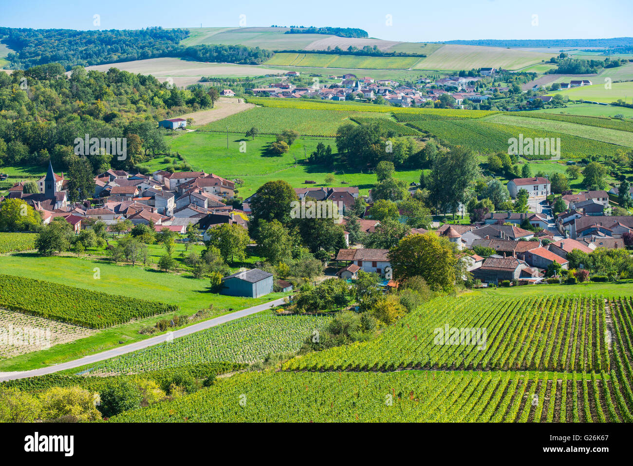 Champagne vineyards in the Cote des Bar area of the Aube department ...