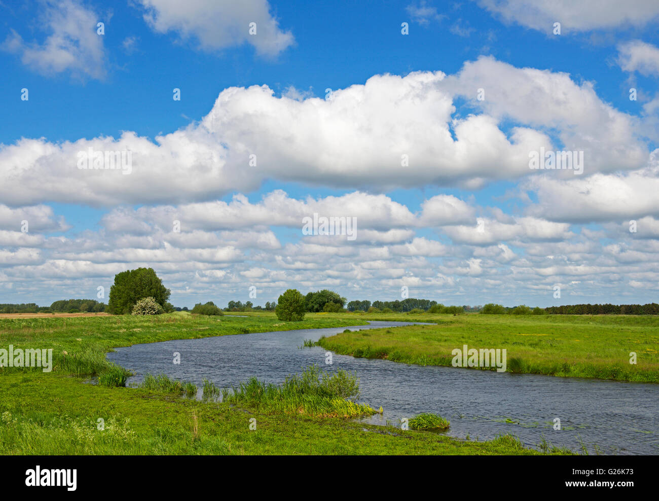 River Little Ouse at Lakenheath Fen, an RSPB nature reserve, near ...