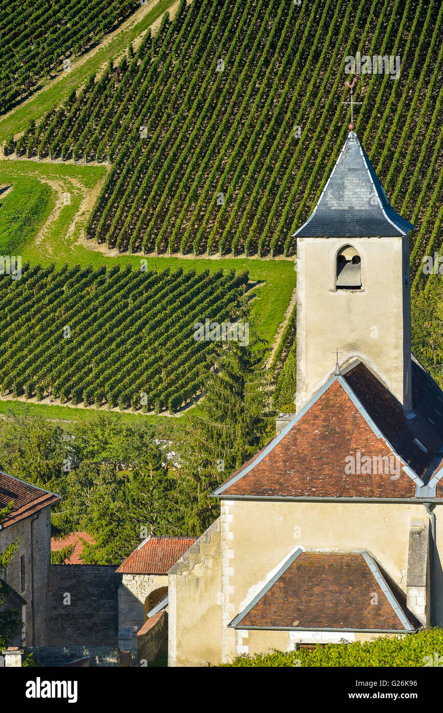 Champagne vineyards in the Cote des Bar area of the Aube department ...