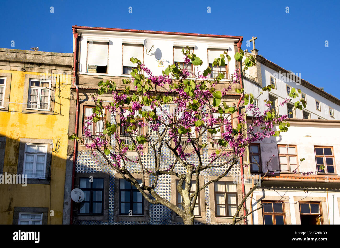 Spring in porto hi-res stock photography and images - Alamy
