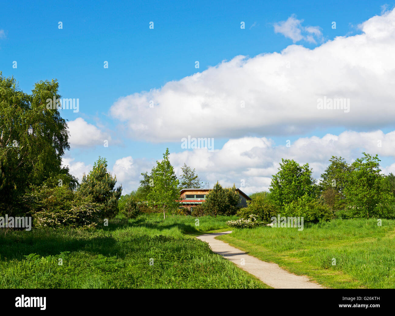Lakenheath Fen, an RSPB nature reserve, near Lakenheath, Suffolk ...