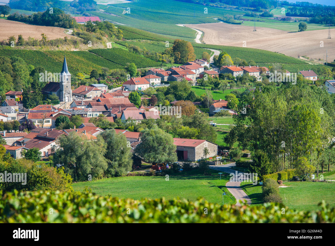 Champagne vineyards in the Cote des Bar area of the Aube department ...