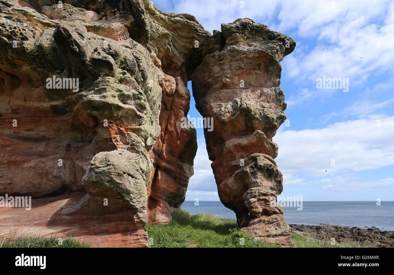 Buddo rock fife hi-res stock photography and images - Alamy