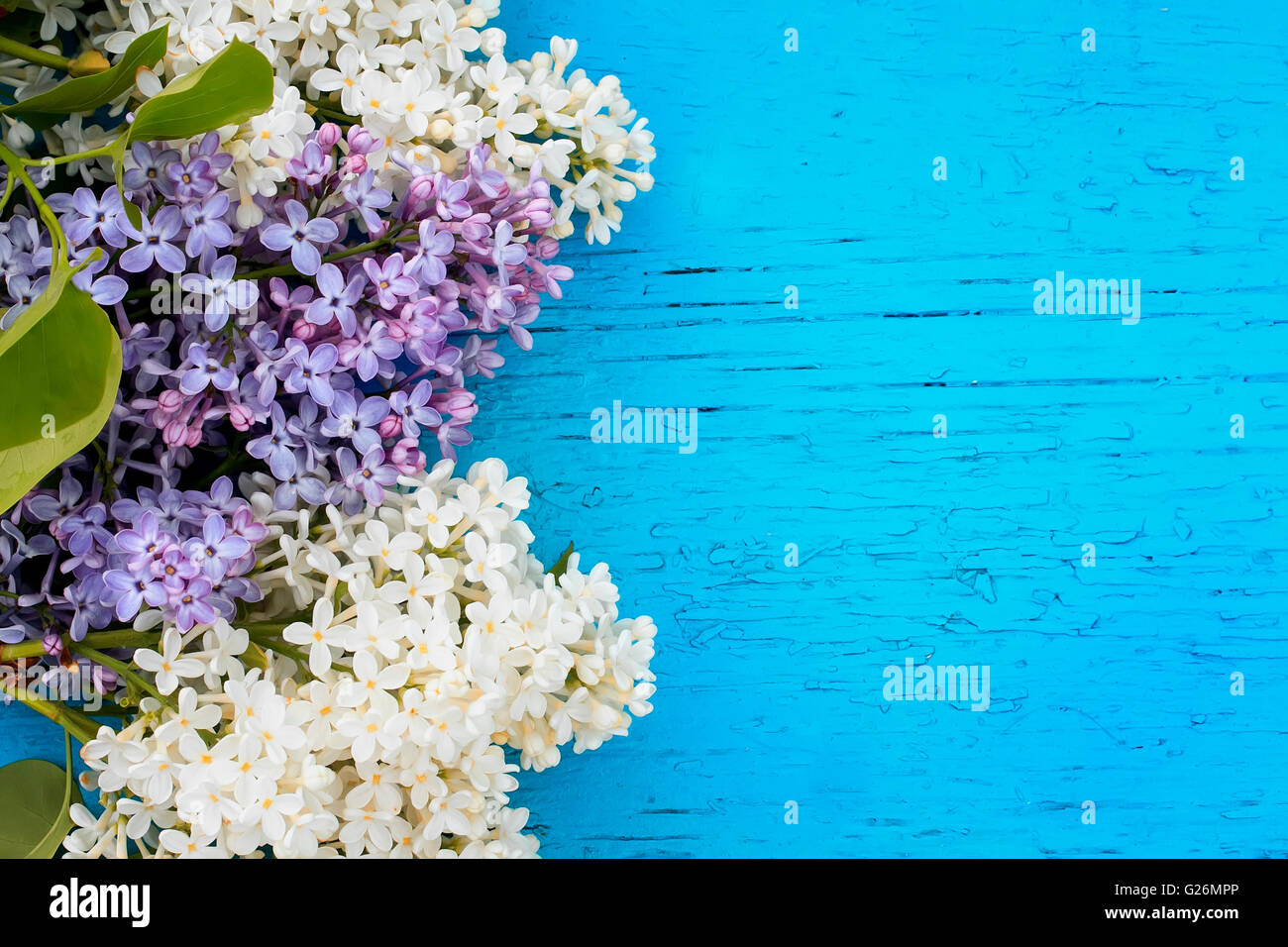 old, pattern, petal, plant, postcard, purple, season, space, spring ...