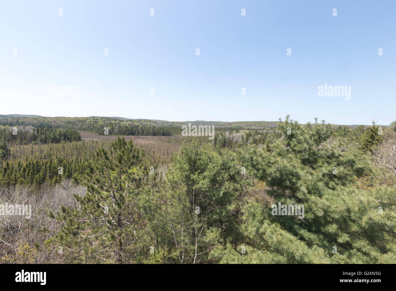 Spring in Algonquin Park, Ontario - Canada Stock Photo - Alamy