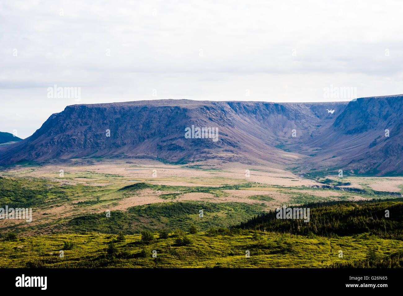 Large dry mountain plateau and valley with trees and green vegetation ...