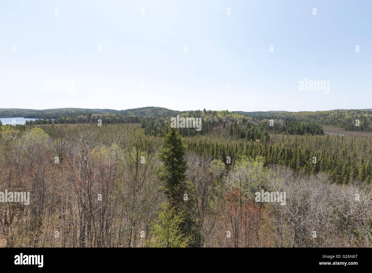 Spring in Algonquin Park, Ontario - Canada Stock Photo - Alamy