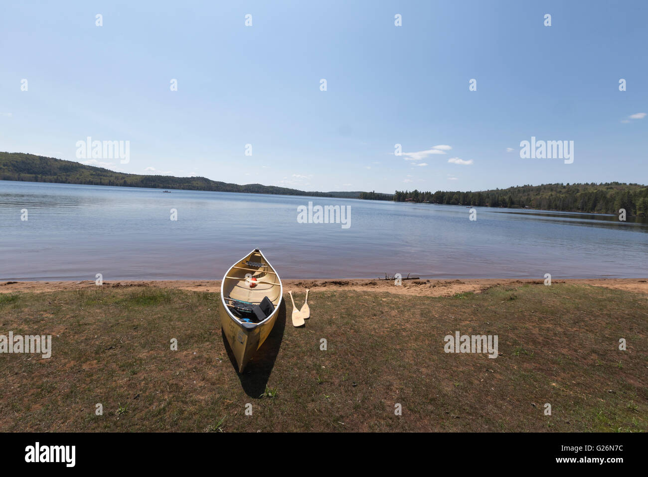 Spring in Algonquin Park, Ontario - Canada Stock Photo - Alamy