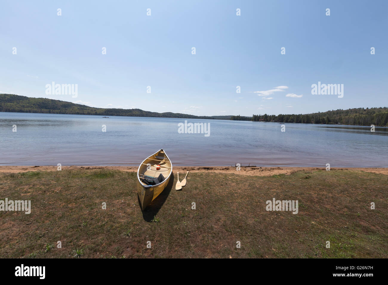 Spring in Algonquin Park, Ontario - Canada Stock Photo - Alamy