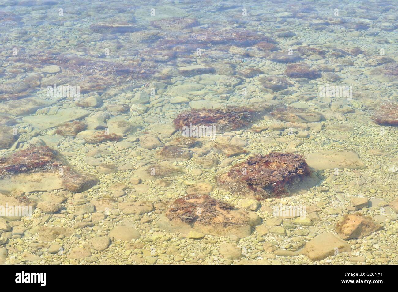 At the bottom of the sea with stones. View through water. Natural ...